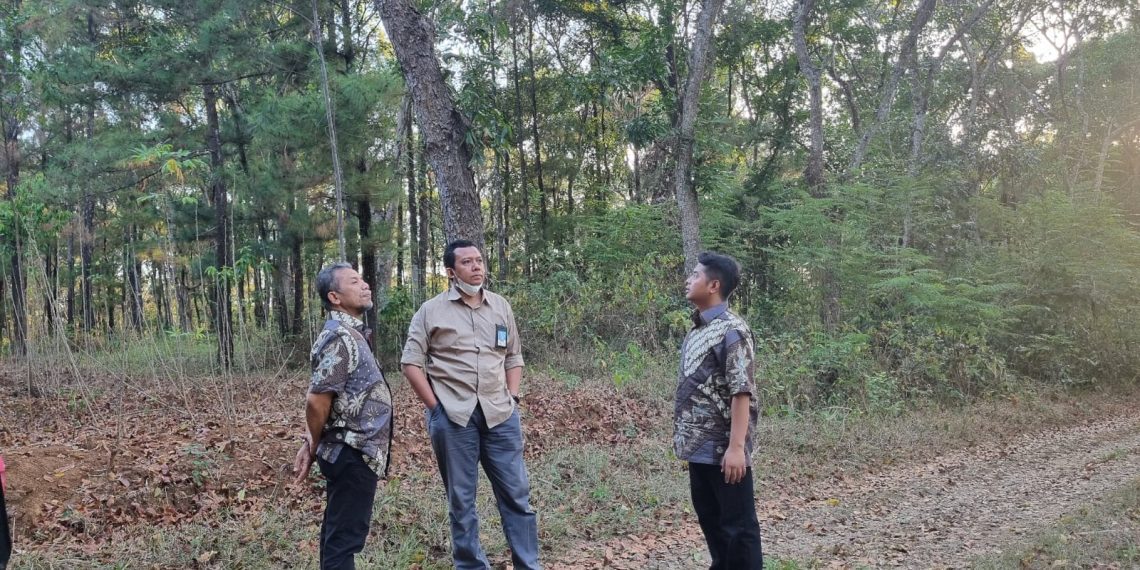 Susuri Alas Bromo, UB Forest Pelajari Kolaborasi Pengelolaan Hutan ...