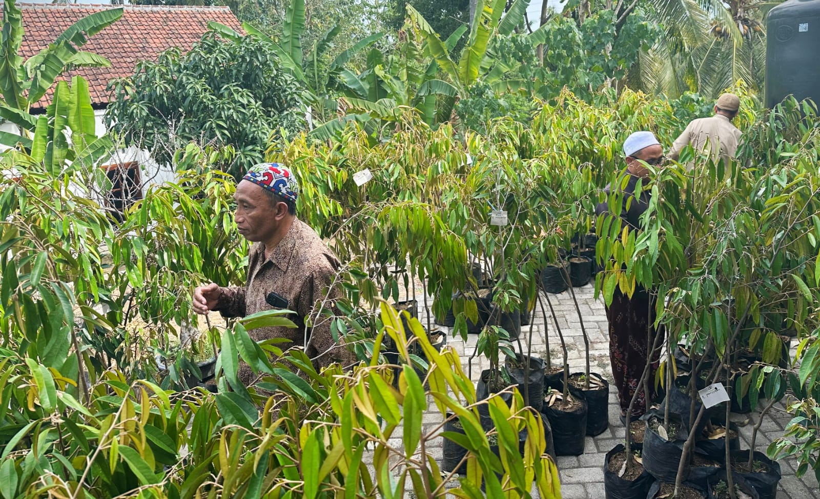 LPPM UB Tanam 1000 Pohon Dukung Penguatan Ekonomi dan Konservasi ...